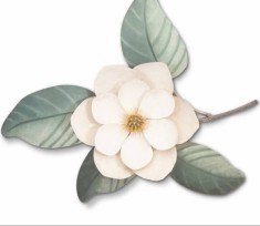Miss Southern Magnolia - Pageant Planet
